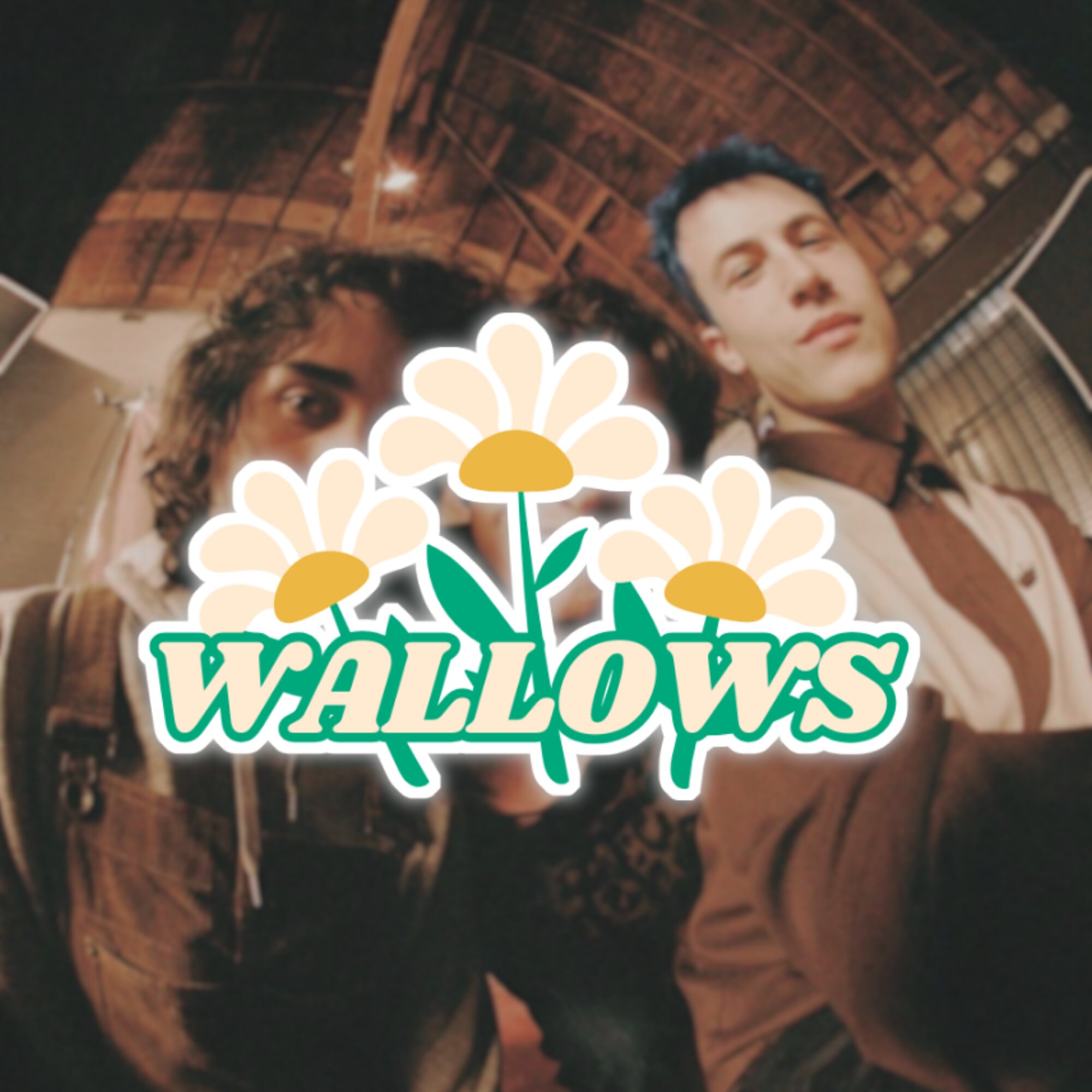 Wallows Retro Aesthetic Stickers Wallows Band Stickers - Etsy
