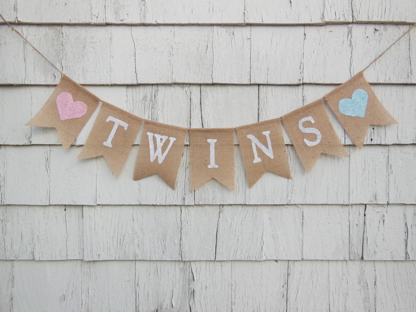 Twins Banner, Twins Bunting, Twins Baby Shower Banner, Twins Baby ...