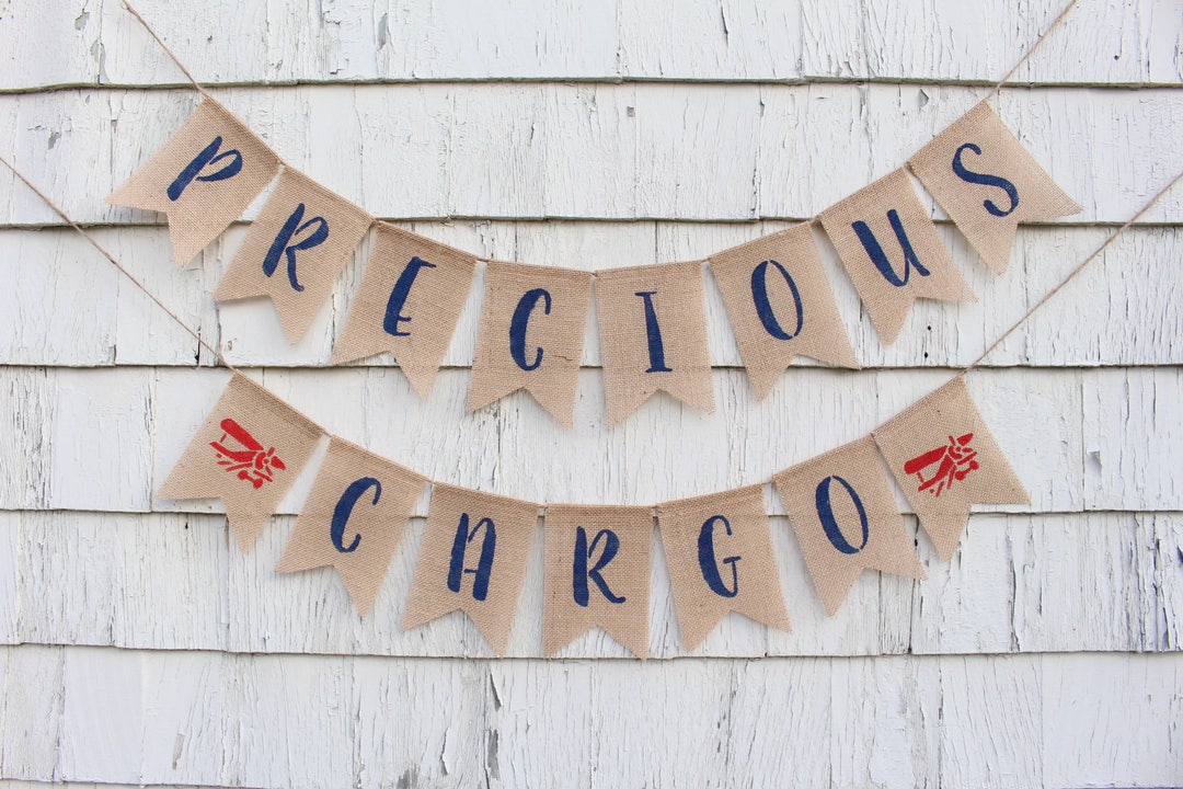 Precious Cargo Banner, Precious Cargo Baby Shower, Vintage Airplane ...