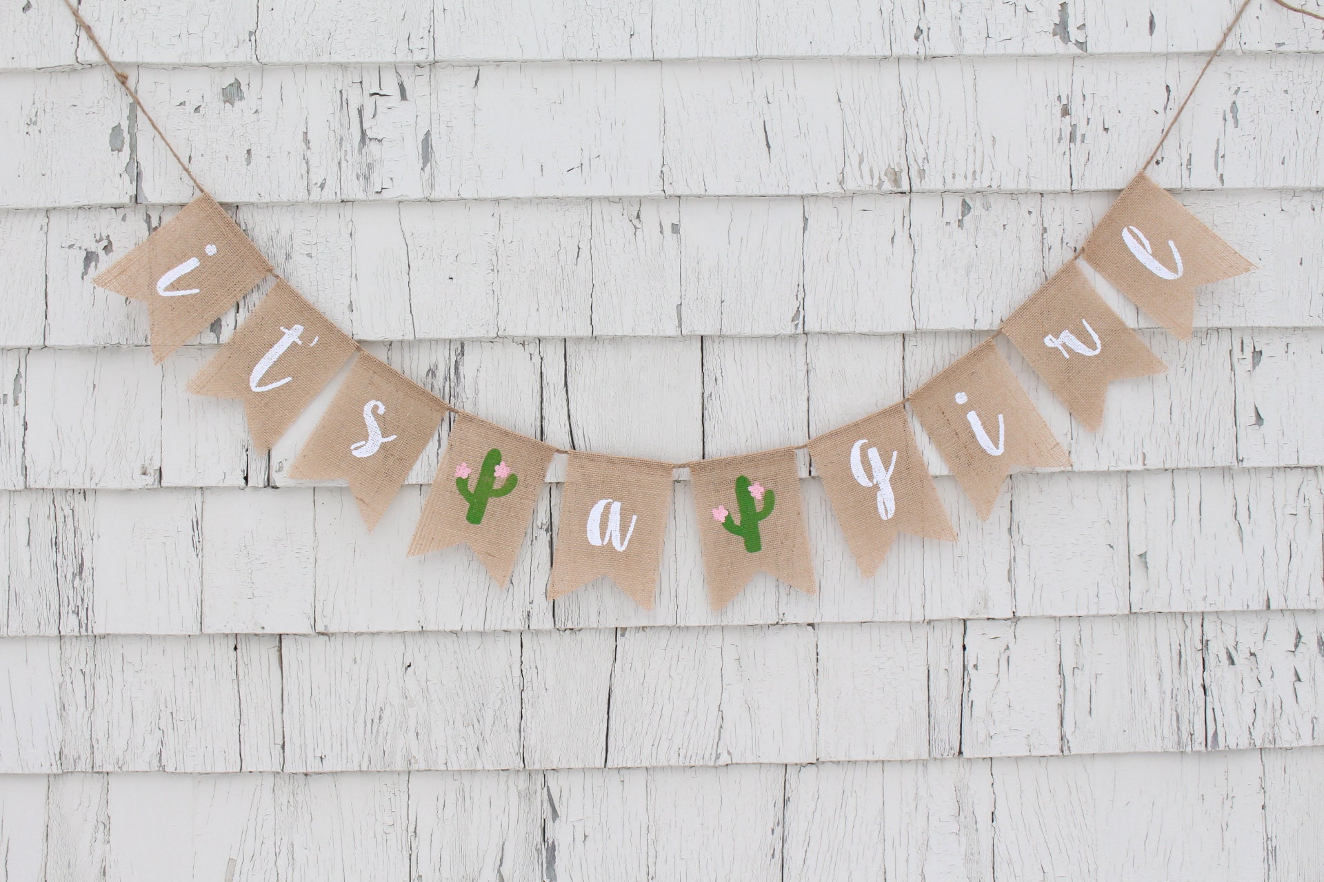 Cactus Baby Shower Decorations, Succulent Shower Decor, Fiesta Baby ...