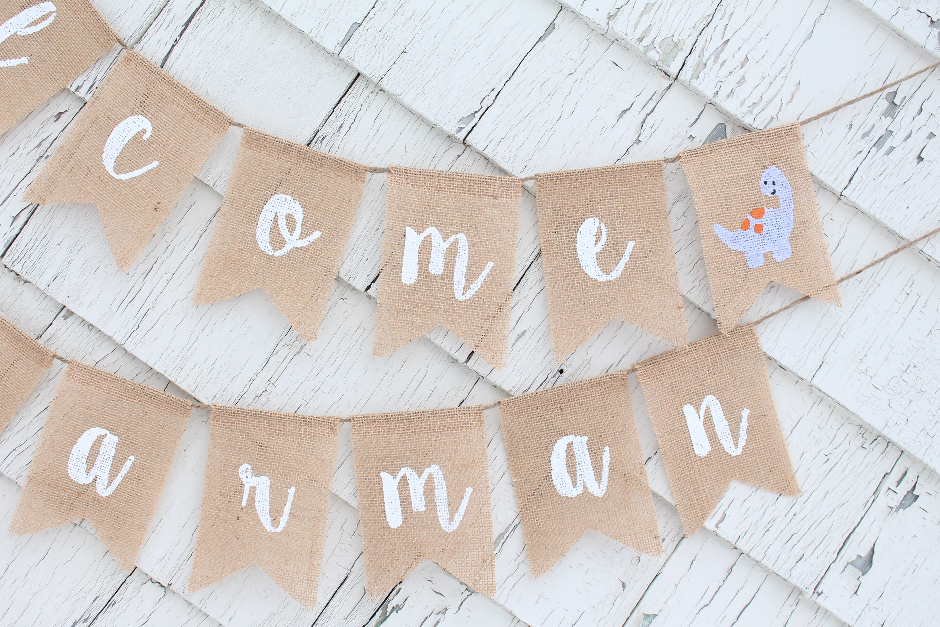 Girl Dinosaur Baby Shower Custom Welcome Baby Banner | Etsy