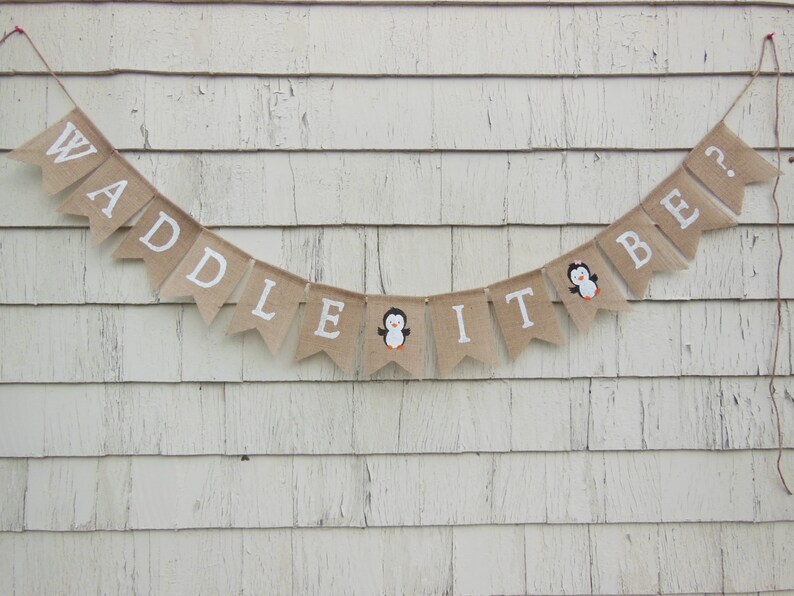 Waddle It Be Gender Reveal, Penguin Gender Reveal, Gender Reveal Ideas ...