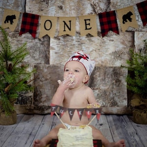 Lumberjack First Birthday, Lumberjack Party, Lumberjack One Banner ...
