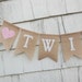 Twins Banner, Twins Bunting, Twins Baby Shower Banner, Twins Baby ...