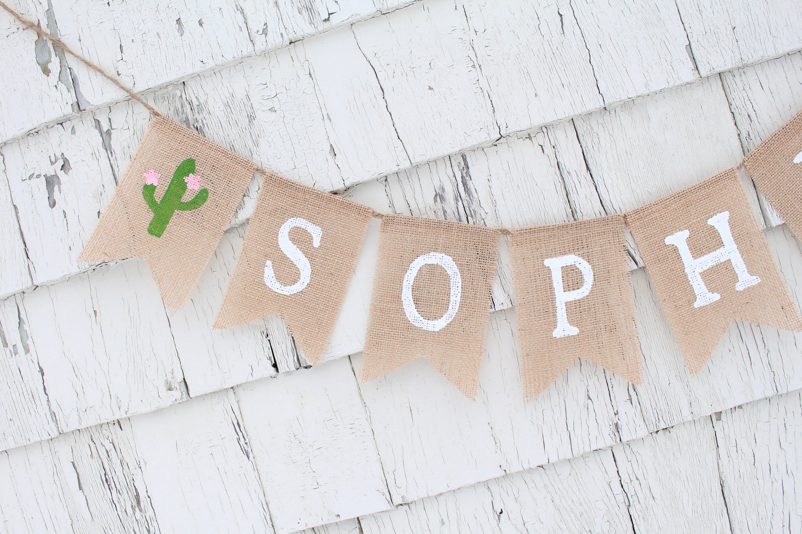 Cactus First Birthday Banner Cactus Birthday Decorations - Etsy