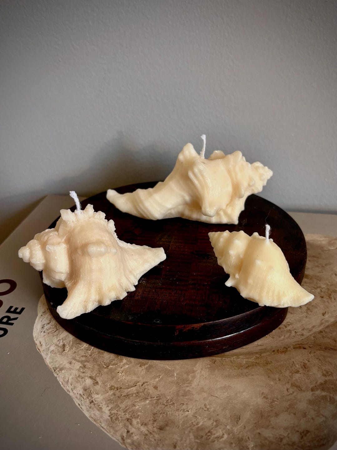 Seashell Candle. Set of 3 Candles. Hand Crafted Soy Wax Candle. Unique ...
