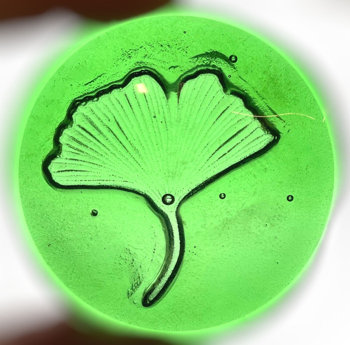 Handmade Ginkgo Leaf Recycled Bottle Glass Stained Glass Roundel ...