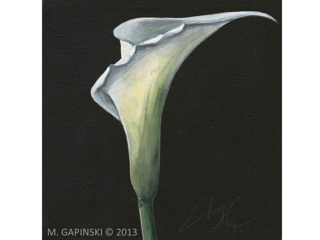 Calla Lily - Print - Etsy