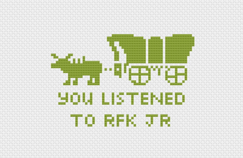 You Listened to RFK Oregon Trail Inspired Cross Stitch Piece - Etsy
