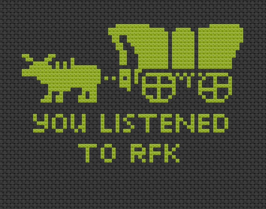 You Listened to RFK Oregon Trail Inspired Cross Stitch Piece - Etsy