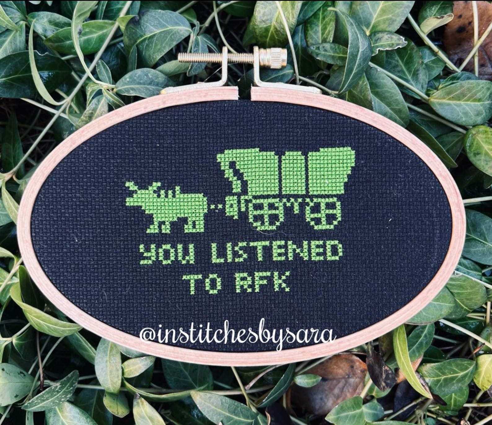 You Listened to RFK Oregon Trail Inspired Cross Stitch Piece - Etsy