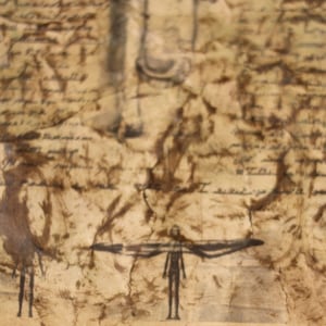 Alien Mummy of Nazca Scroll, Peru Alien, Et Conspiracy, Ancient ...