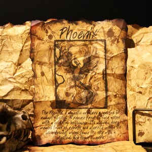 Mythical Creatures Scrolls, Bestiary Fantasy LARP Props ,medusa ...
