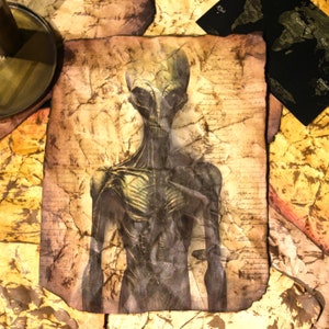 Alien Scroll, UFO Blueprints, Alien Autopsy, Area 51, Glows in the Dark ...