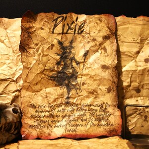 Mythical Creatures Scrolls, Bestiary Fantasy LARP Props ,medusa ...