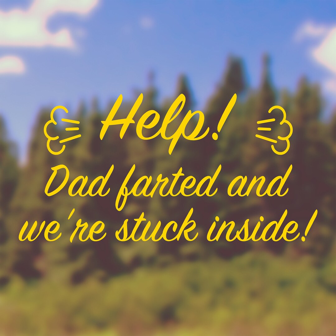 Bumper Sticker for Dad Funny Car Decal With Rude Quote Van Decal for ...