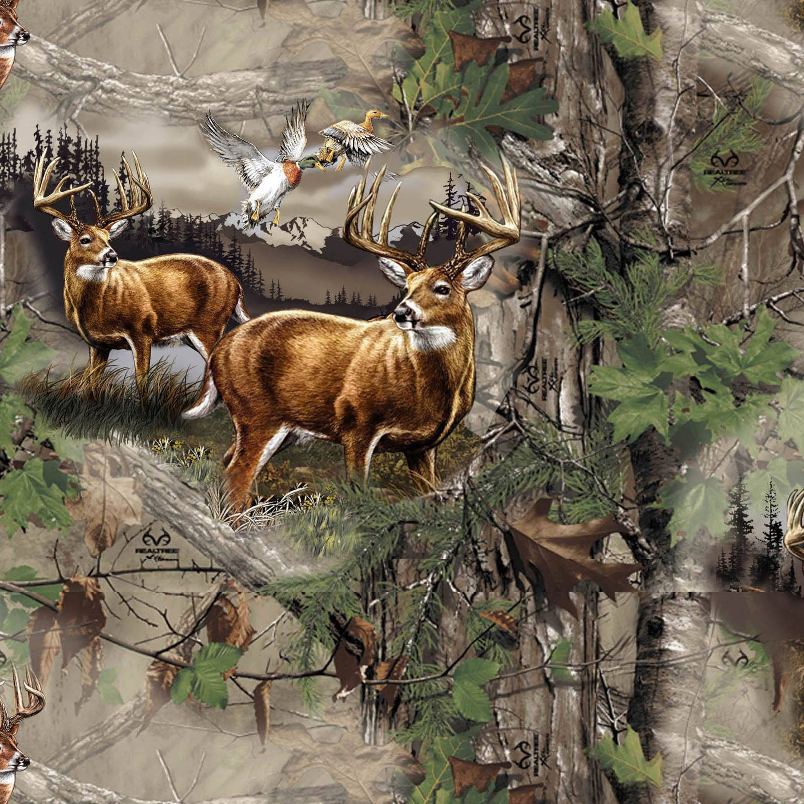 Realtree Whitetail Deer Wallpaper