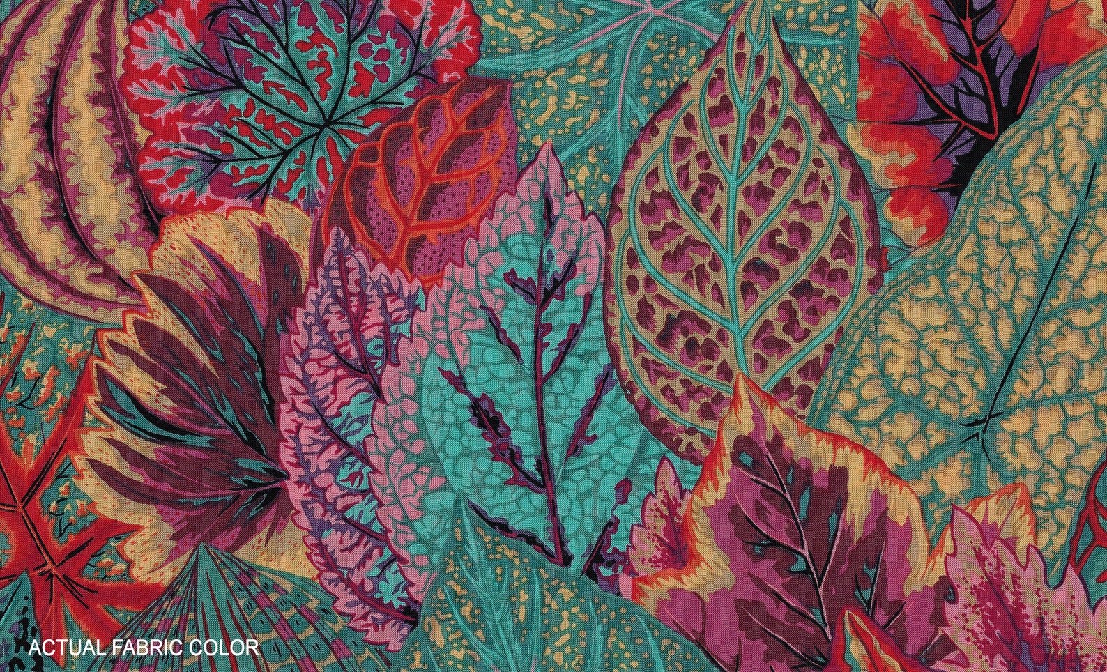 Kaffe Fassett Coleus Teal PJ030.TEAL by Philip Jacobs / - Etsy