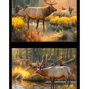 Morning Glory Elk Panel 9204-BLA by Elizabeth's Studio 100% Cotton ...