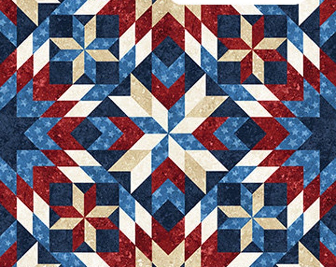 BOLT END - 108in Wide Quilt Block B25338-49 by Northcott 100% Cotton ...