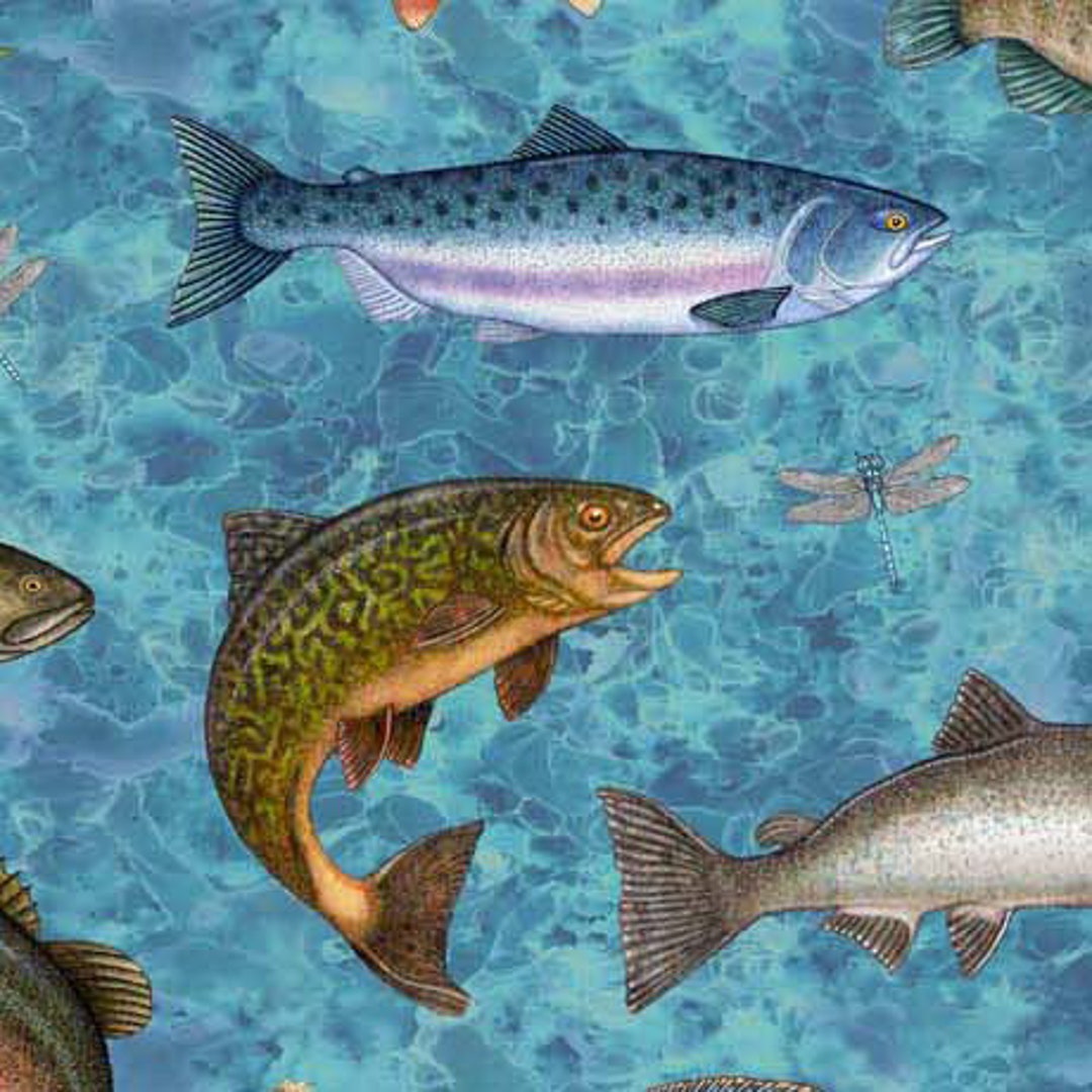 Fish Tails Allover Turquoise HALF YARD 30067-Q by Dan Brown for QT ...