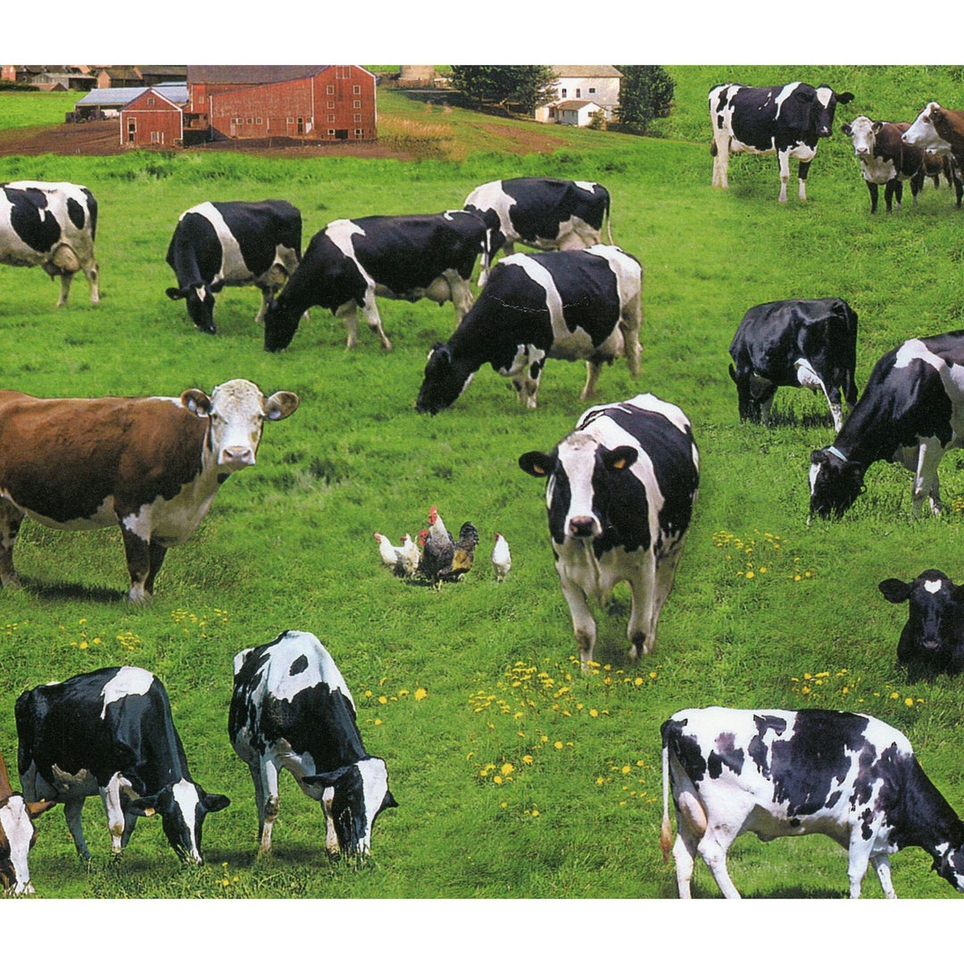 Farm Animals HALF YARD Cows Green 337-GRE Elizabeth's Studio 100% ...