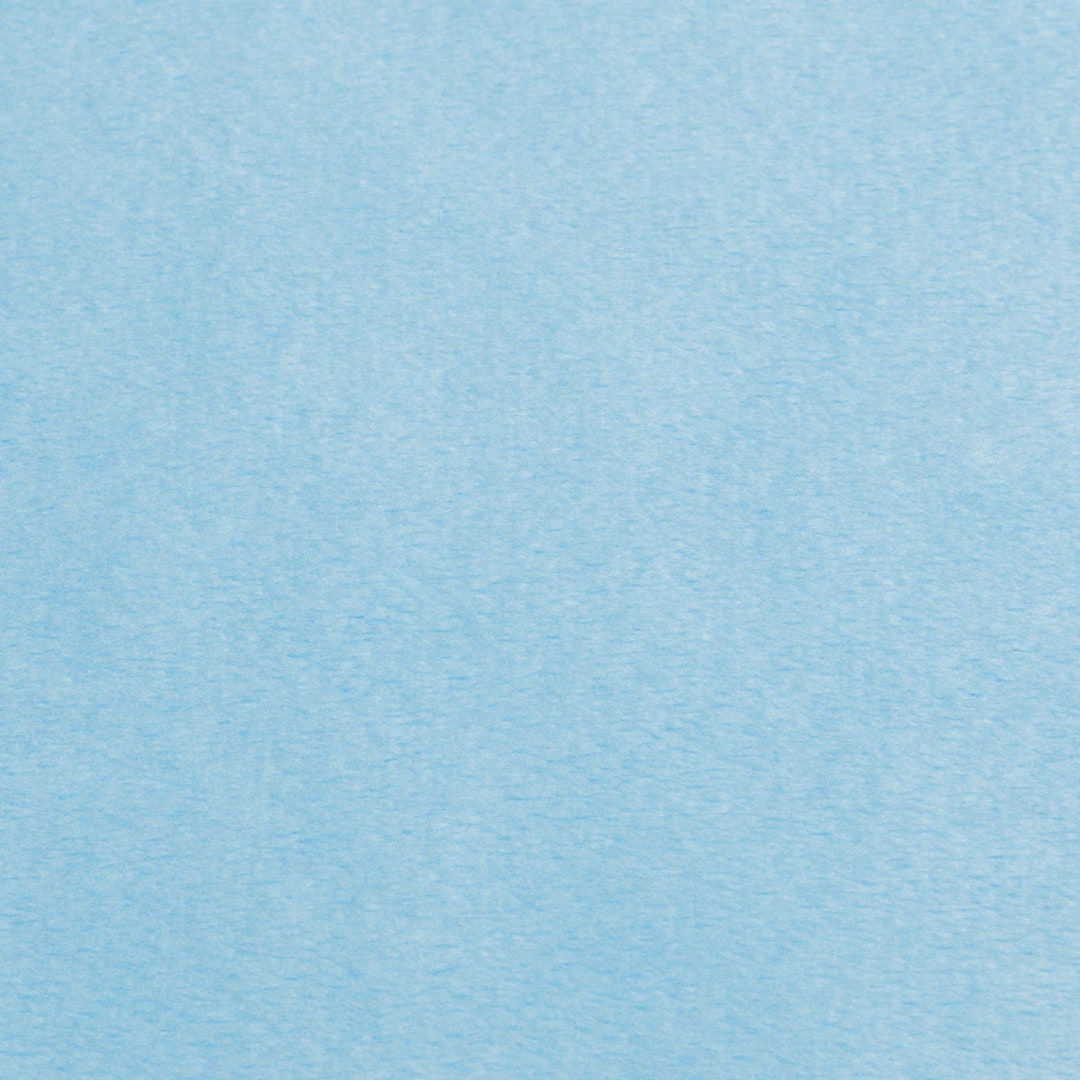 Cuddle 3 Solid - Baby Blue C390-BAB 90" Wide by Shannon Fabrics 100% ...