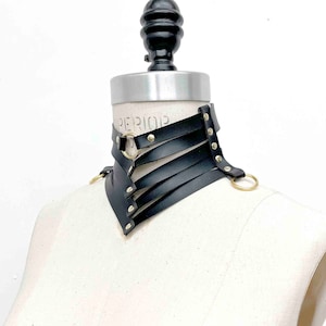 Victoria Vegan Cactus Leather Posture Collar, Tall Gothic Choker ...
