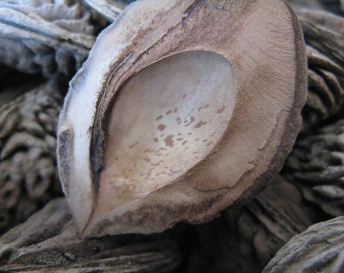 Natural Bulk Peach Pits/ Peach Pit for Carving Beads/ Carving Jewelry ...