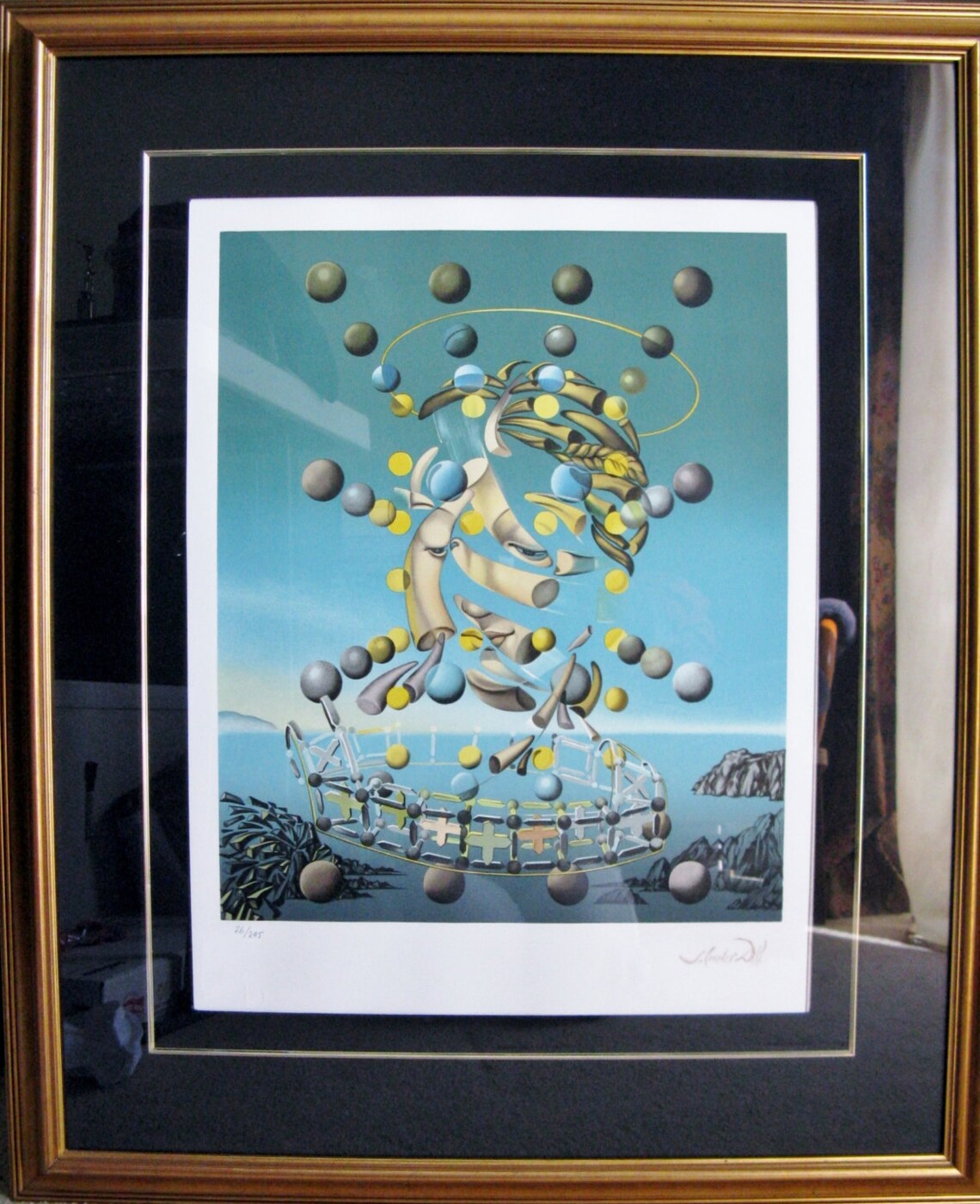 Vintage Museum Quality Frame Salvador Dali Lithograph | Etsy