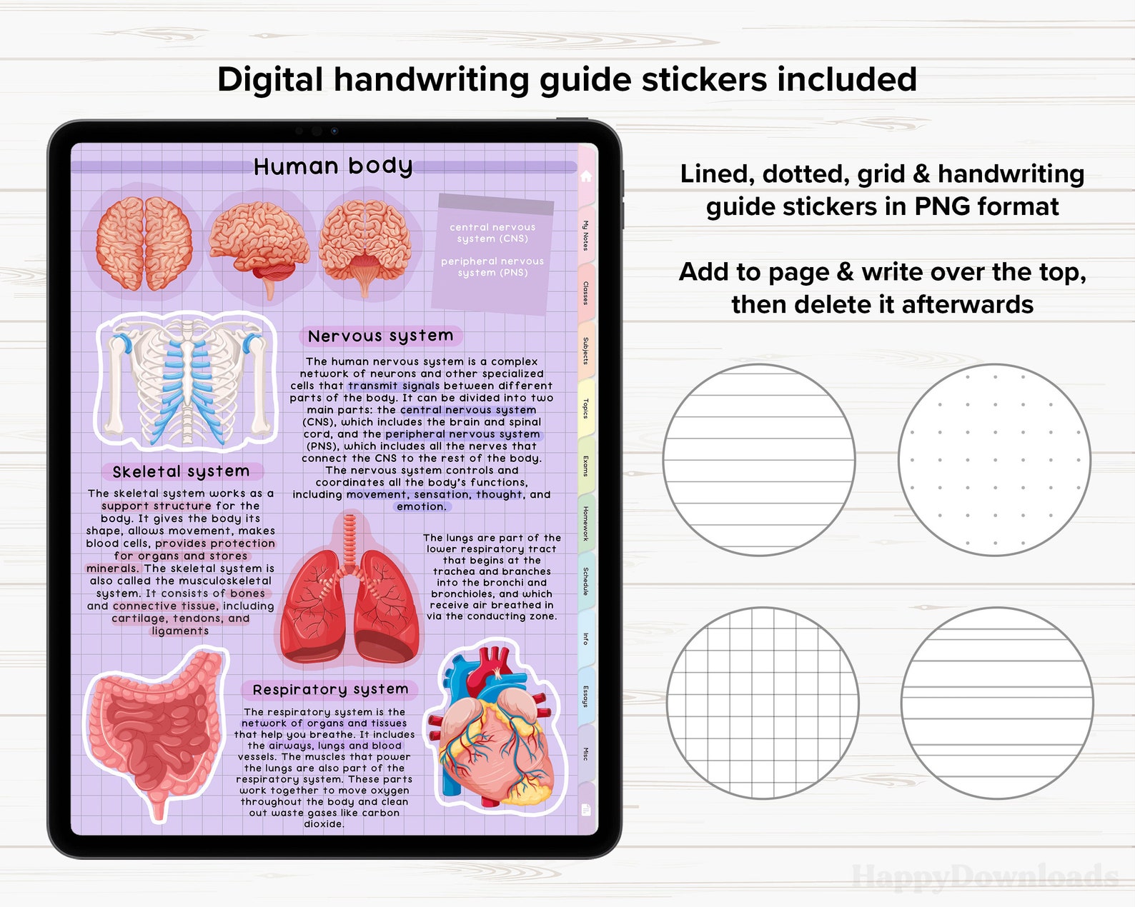 Neat Handwriting Practice, Printable Handwriting Worksheets, iPad ...