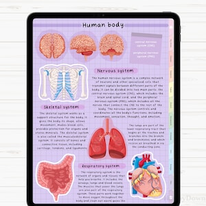 Realistic Handwritten Font, Digital Note Taking Font, Neat Handwriting ...