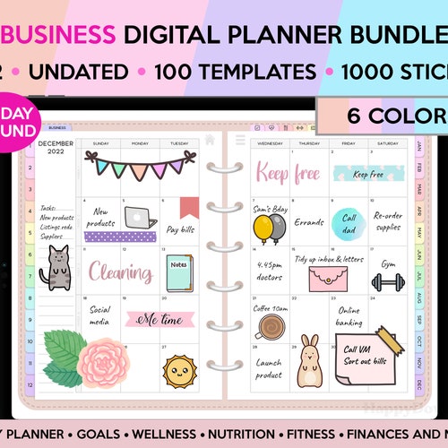 Finance Digital Planner Inserts Budget Goodnotes Inserts | Etsy