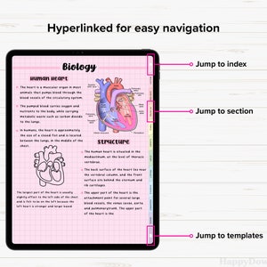 Portrait Digital Notebook With Tabs, Goodnotes Notebook, Student ...