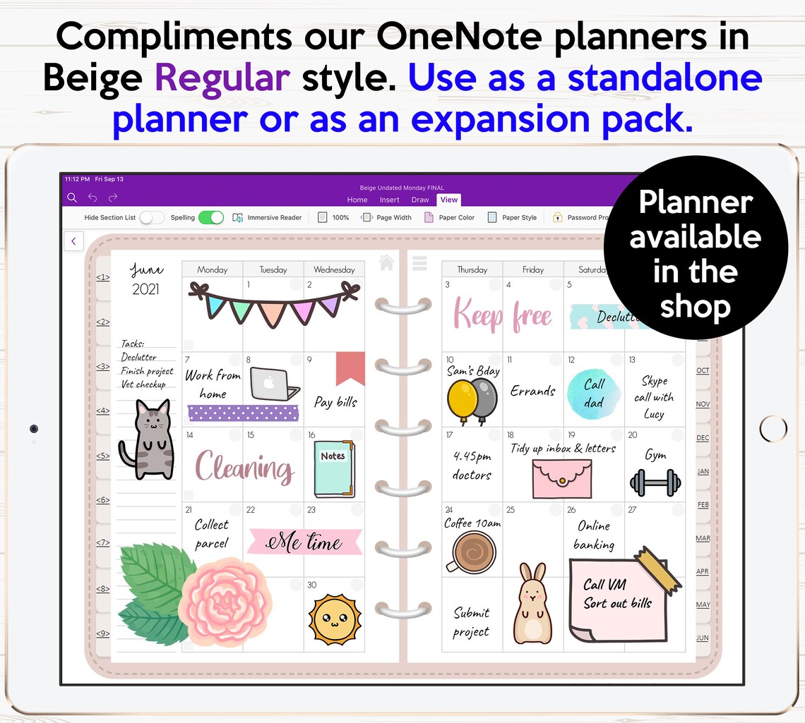 Finances & Budget Onenote Digital Planner Templates Inserts - Etsy