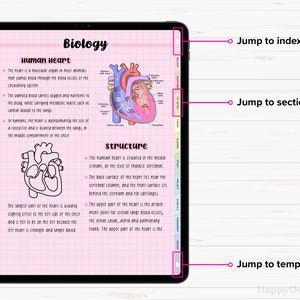 Portrait Digital Notebook With Tabs Goodnotes Notebook - Etsy