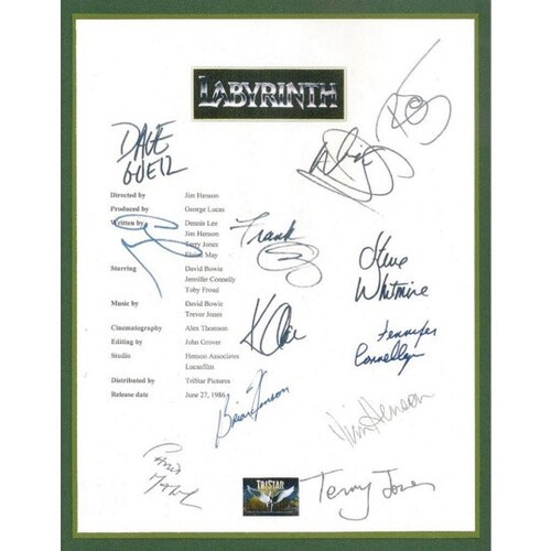 Labyrinth Movie Script Signed Screenplay Autographed: David - Etsy