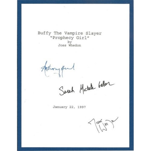 Buffy the Vampire Slayer Script chosen Series - Etsy