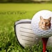 Your Cat's Face on a Golf Ball, Set of 3 Custom Golf Balls, Your Cat's ...