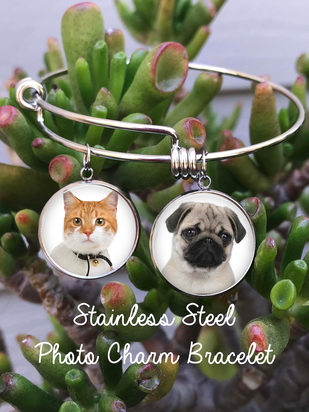 Pet Photo Bracelet, Pet Photo Charm Bracelet, Memorial Charm Bracelet ...