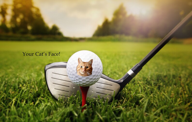Your Cat's Face on a Golf Ball Set of 3 Custom Golf | Etsy