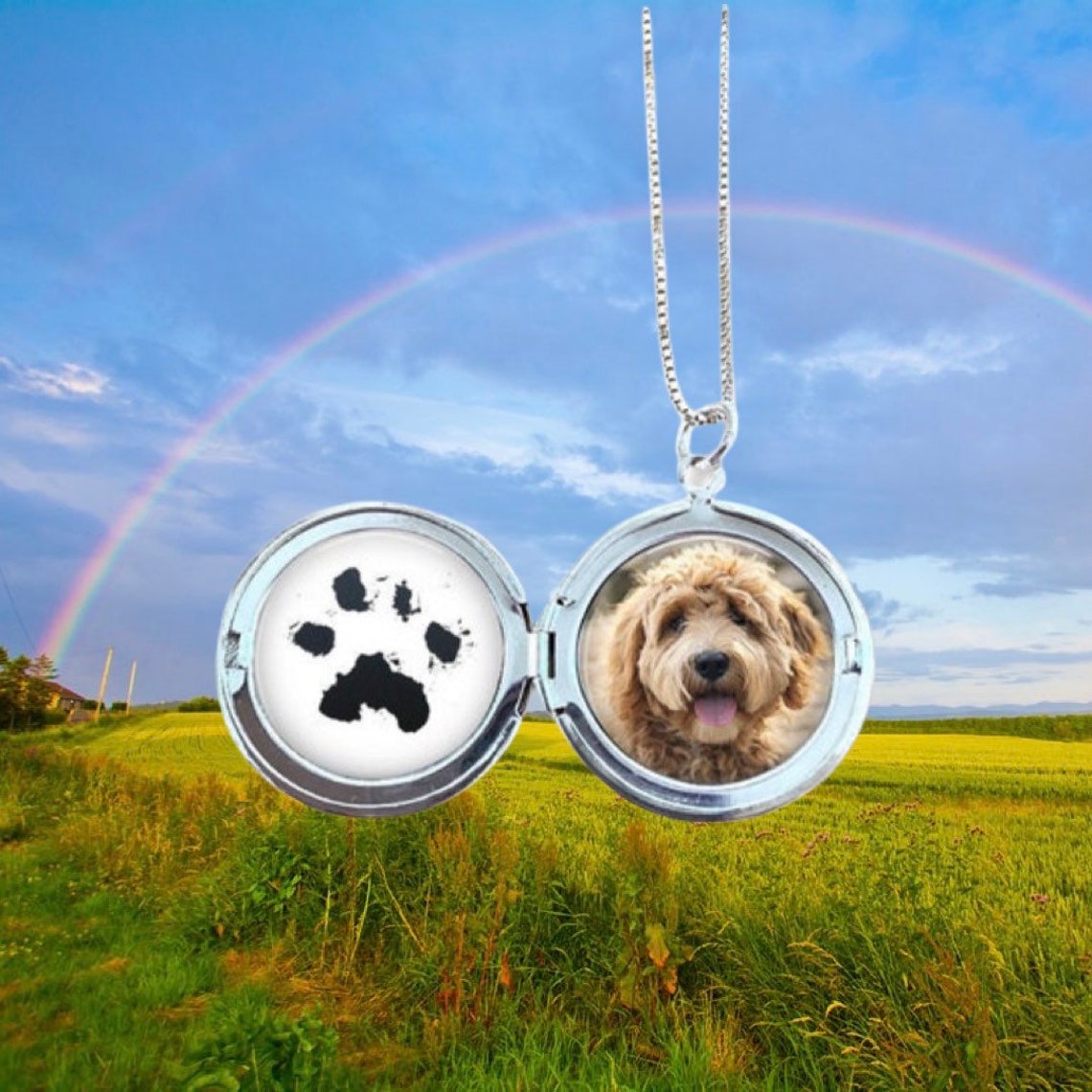 Pet Memorial Gift, Pawprint and Photo Locket, Memorial Gift for Loss of ...