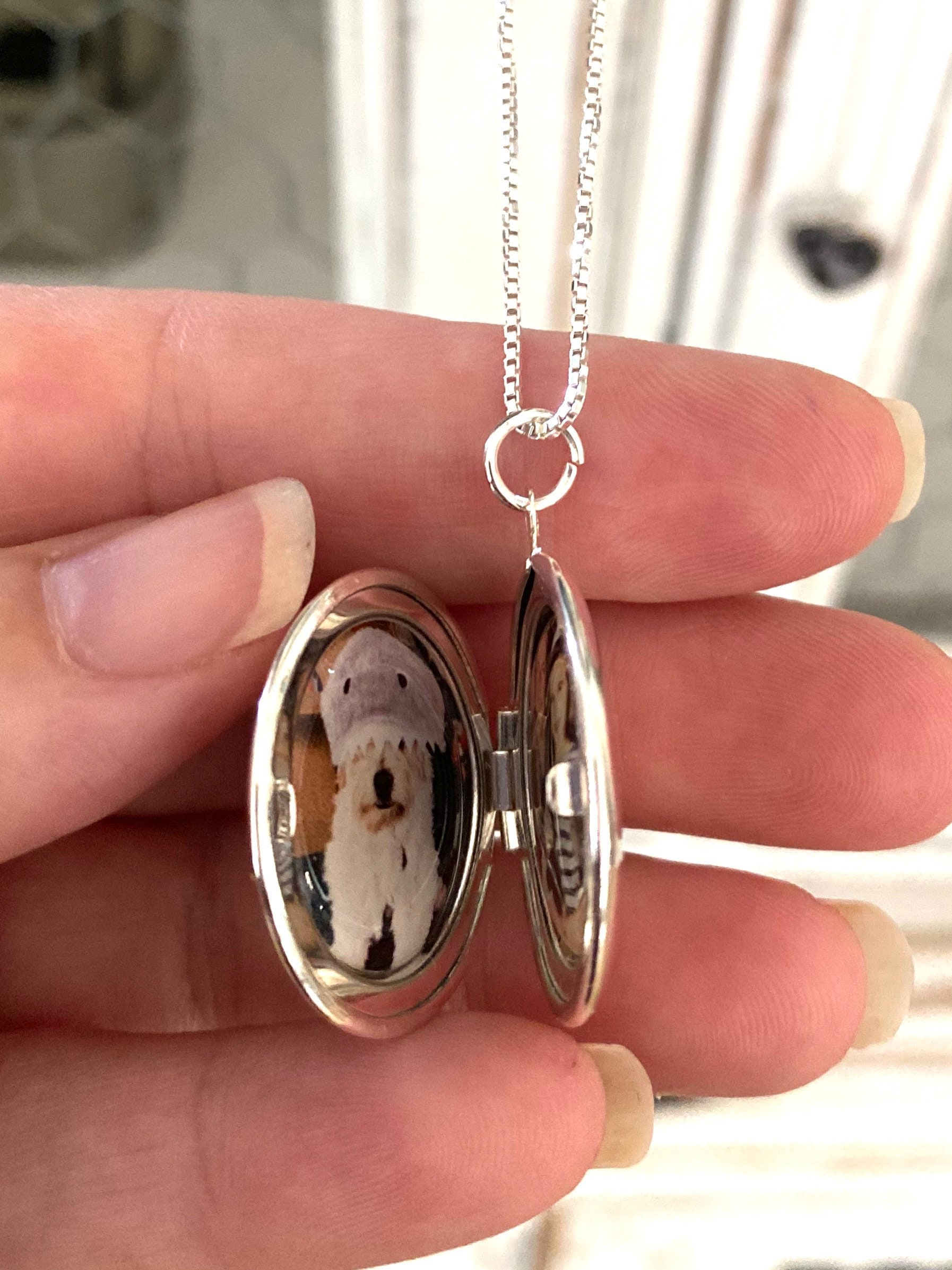 Pet Memorial Gift, Pawprint and Photo Locket, Memorial Gift for Loss of ...