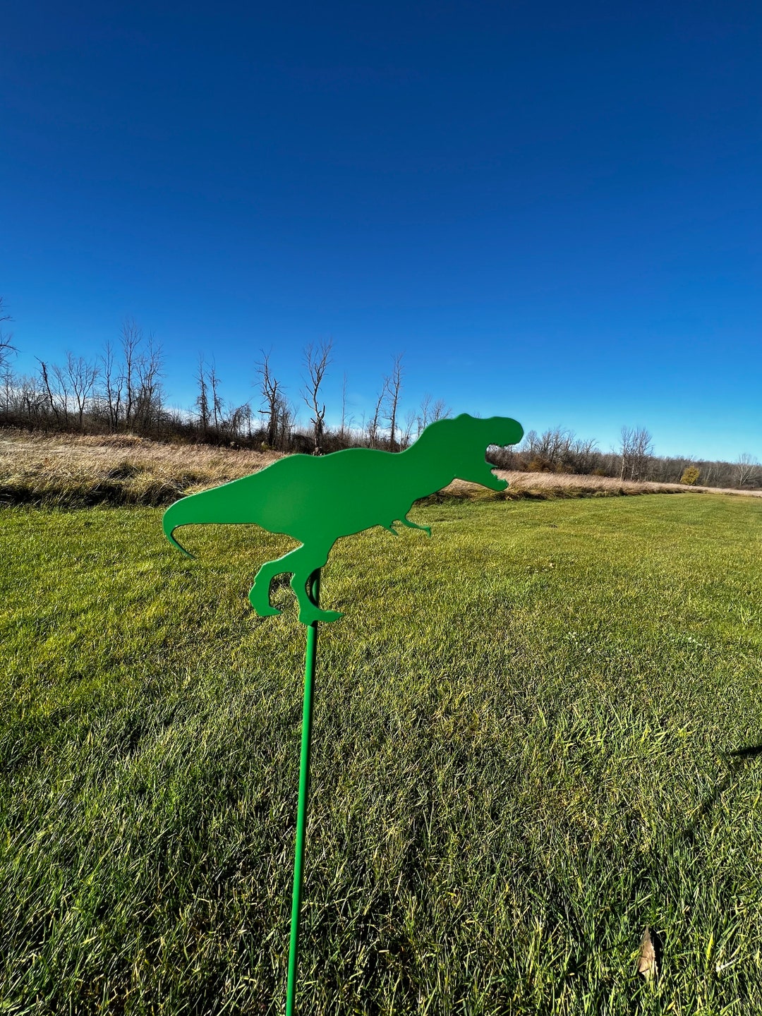 Skinny 't-rex' Lawn Stake / Metal Dinosaur / Steel Lawn Ornament ...