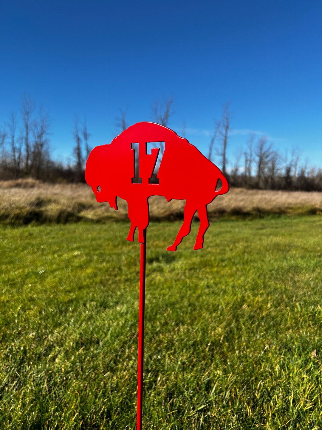 Skinny Metal #17 Buffalo Stakes / Josh Allen / Billieve / Bills Mafia ...