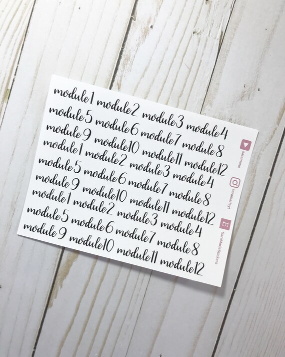 Module 1-12 Scripts | Etsy