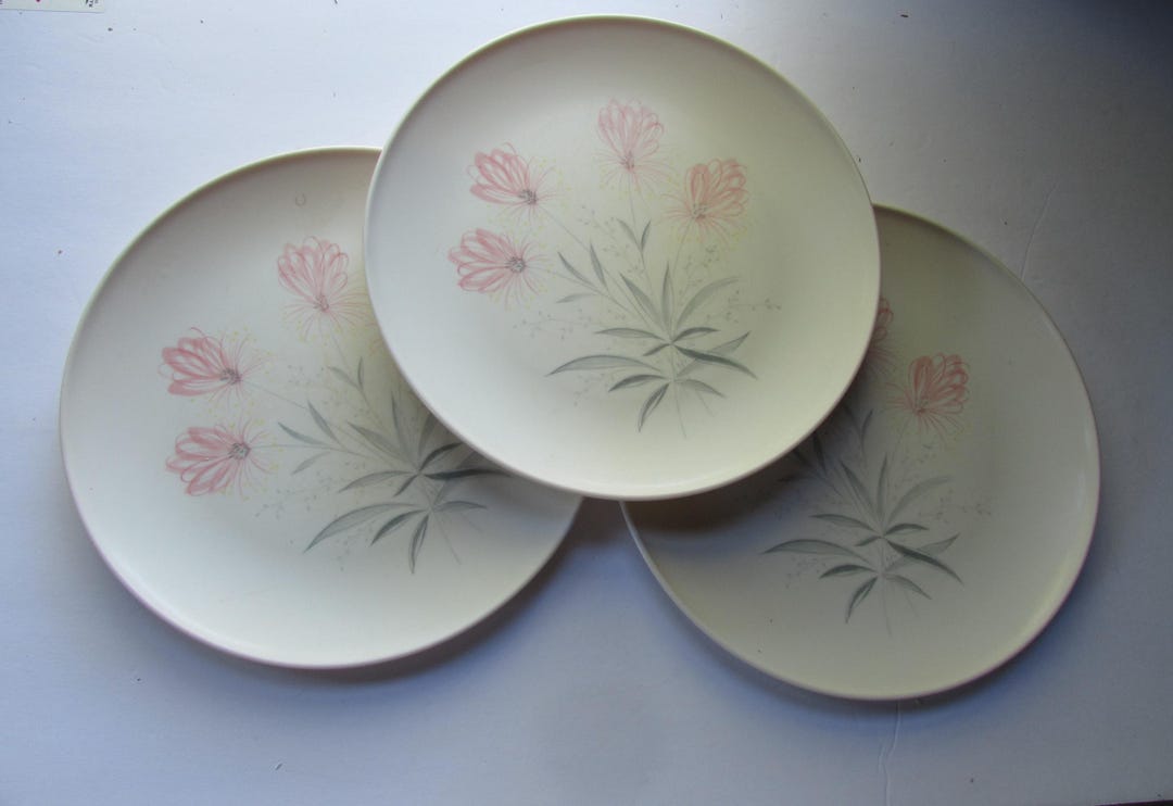 Melamine Table Ware Dinner Plates Watertown Brand Lifetime Ware Pink ...
