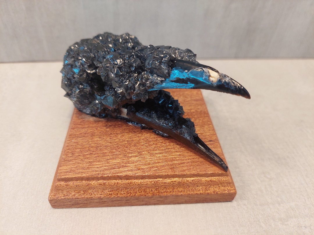 Real Carrion Crow Skull Crystallised Crystal on Oak Base Display Raven ...