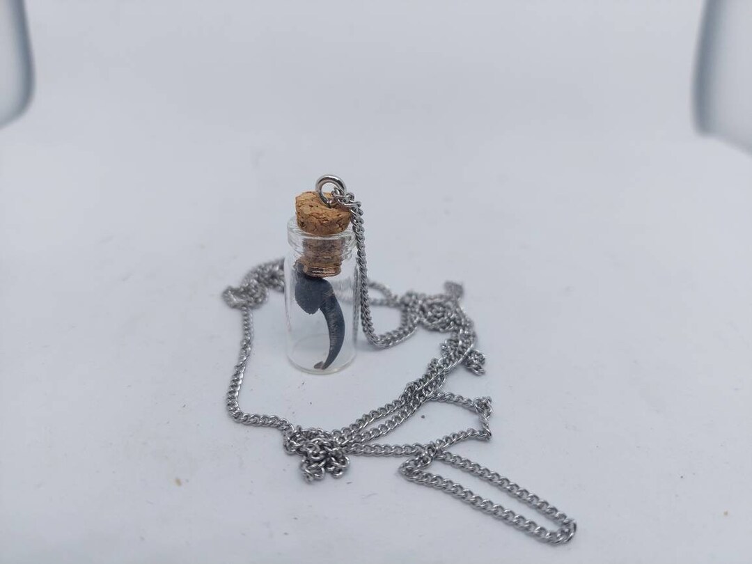 Crow Claw Foot Pendant in Glass Poison Jar Jewellery Raven Corvid ...