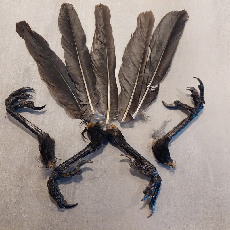 Bird Talons - Etsy